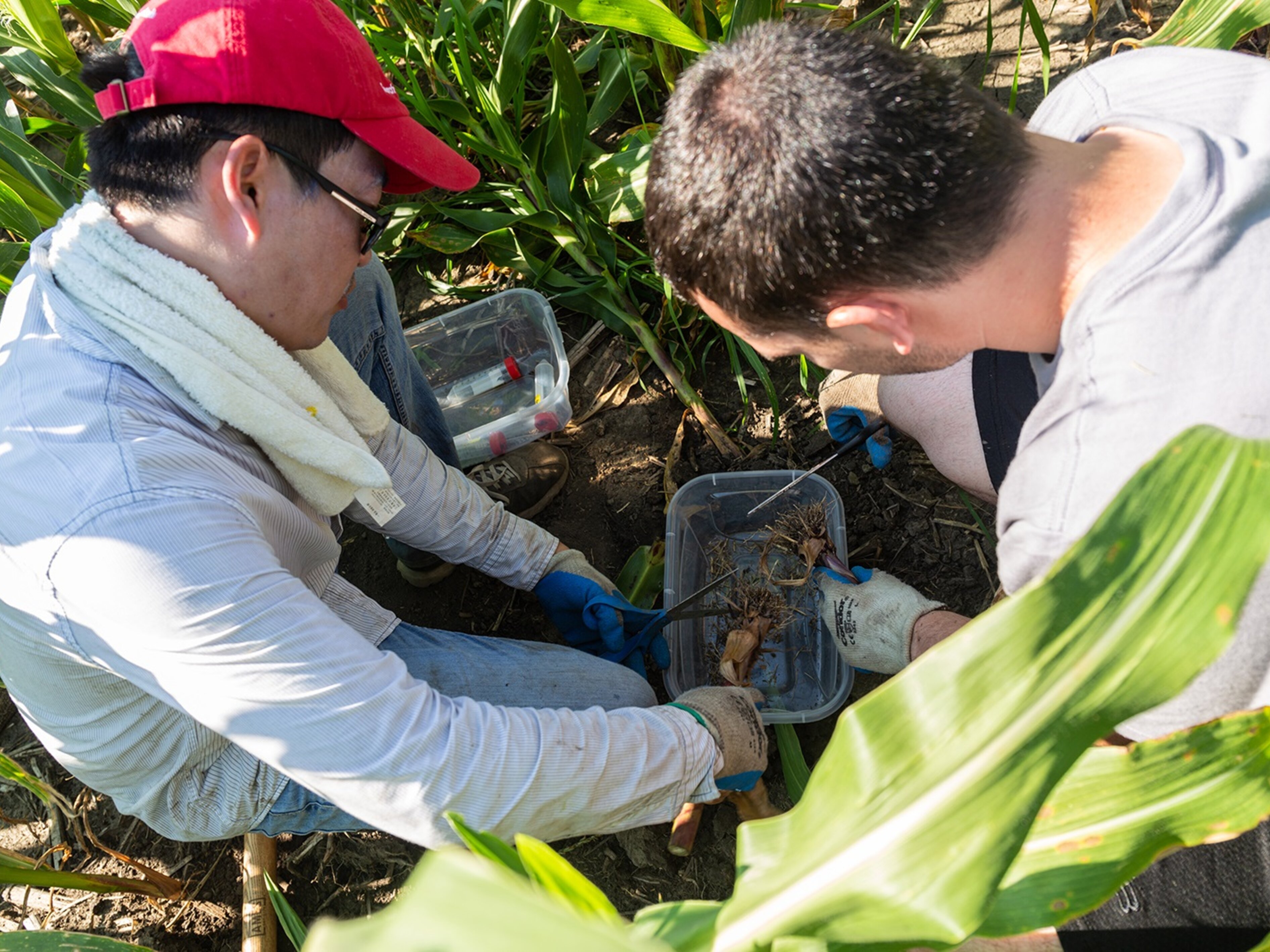 Participant Responsibilities | Summer Research Program | Nebraska